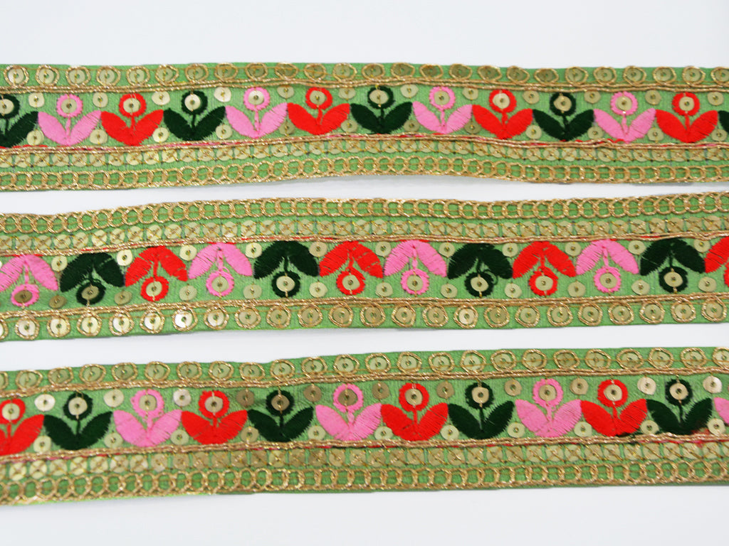 Multicolor Thread Embroidered Border